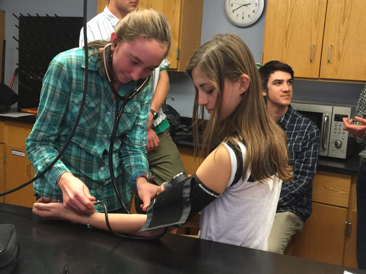 PreMed | Pinhead Institute